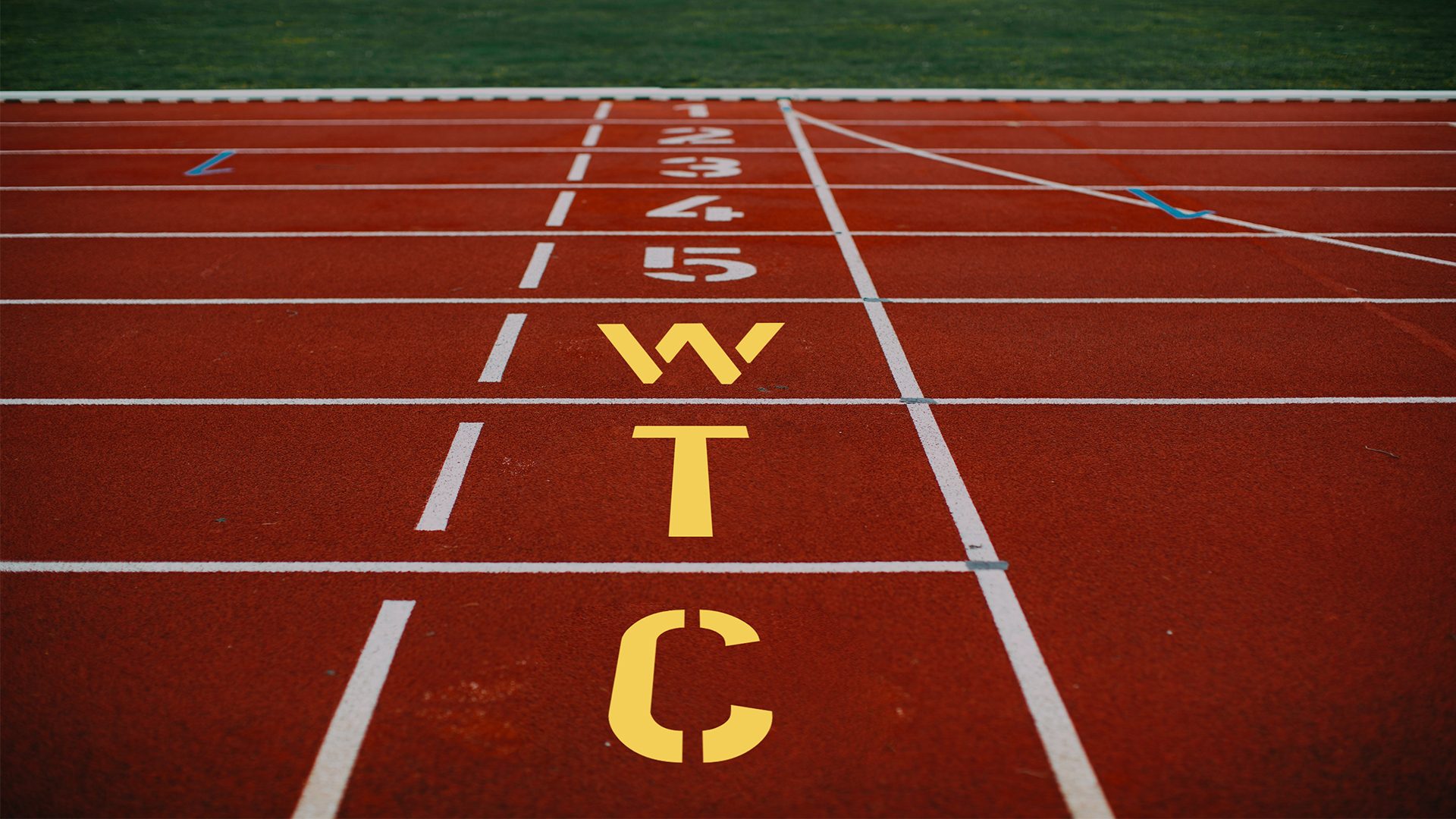 Westshore Track Club - Westshore Track Club